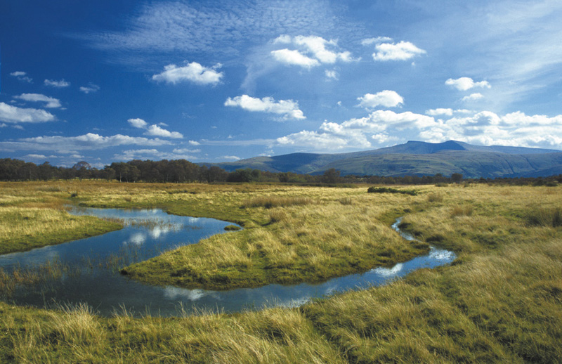 Mynydd Illtud common walk - Brecon Beacons National Park, Wales