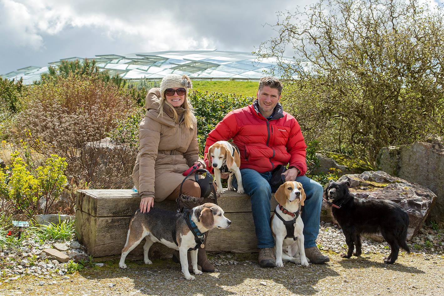 Dog friendly places to visit in the Bannau Brycheiniog - Brecon Beacons ...