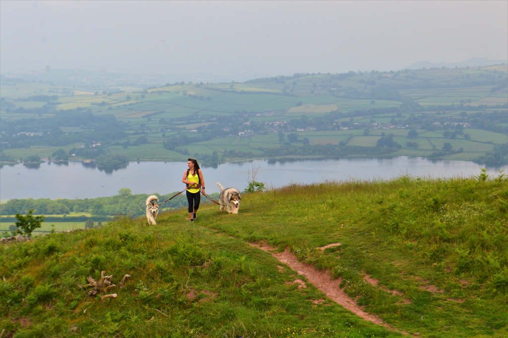 Dog friendly Brecon Beacons - Brecon Beacons National Park, Wales