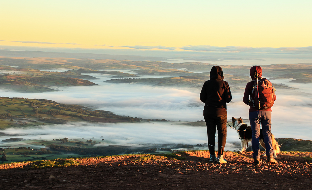 Brecon Beacons Signs of Spring - Brecon Beacons National Park, Wales