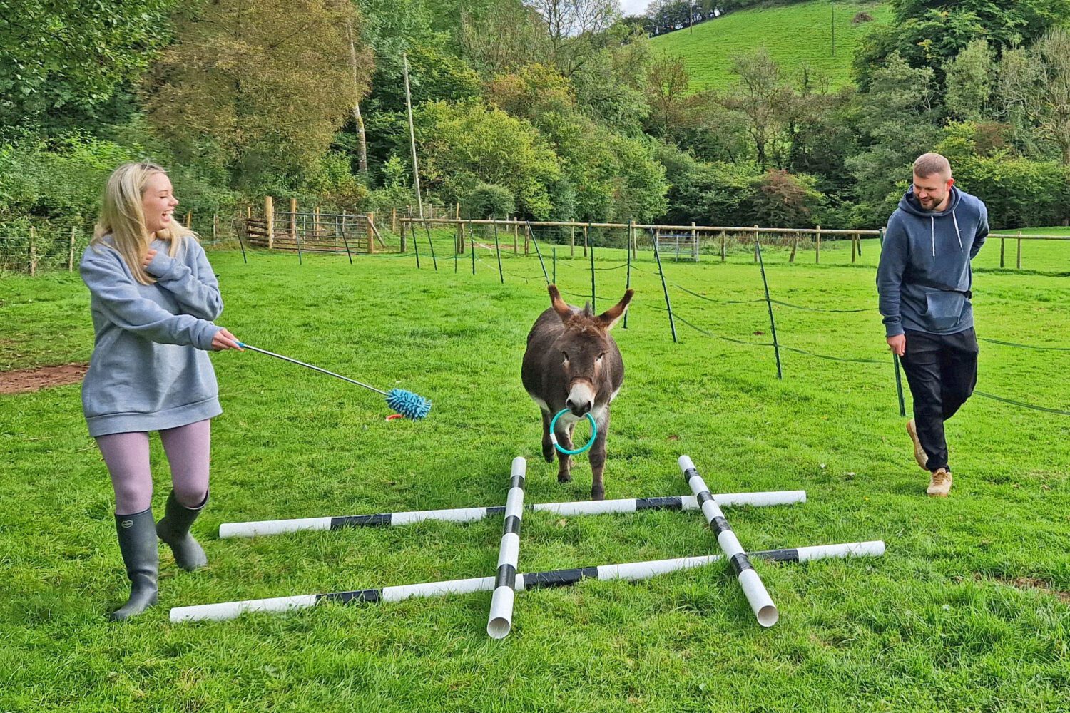 Mini Donkey Walks & Agility Games – Good Day Out - Brecon Beacons ...